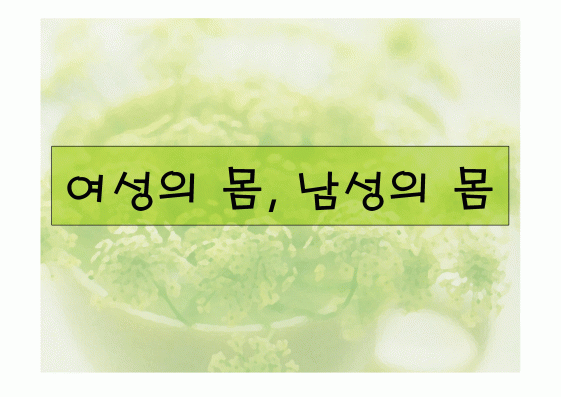 남자 여자 생식기 모형과 피임방법