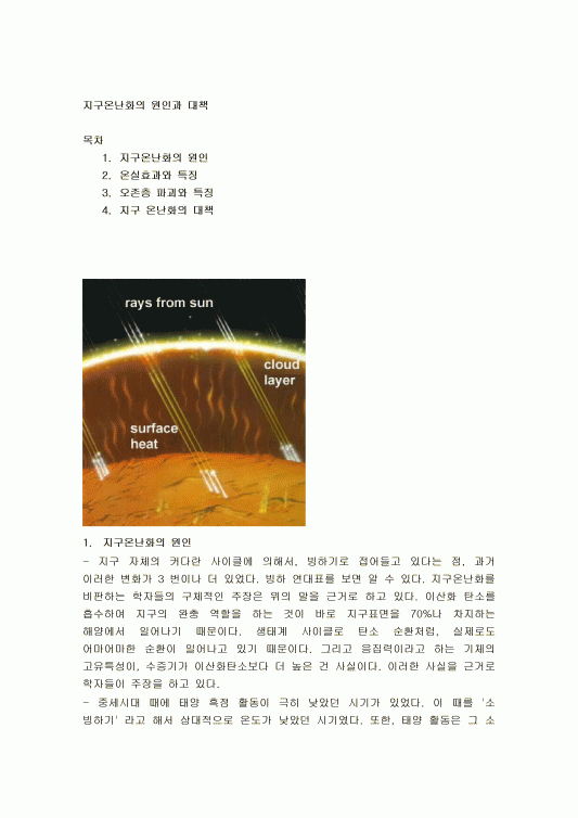 지구온난화의 원인과 대책 (온실효과, 오존층 파괴)