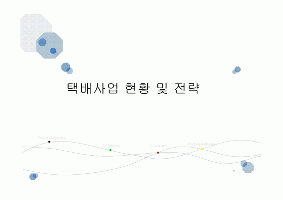 택배사업 현황 및 전략
