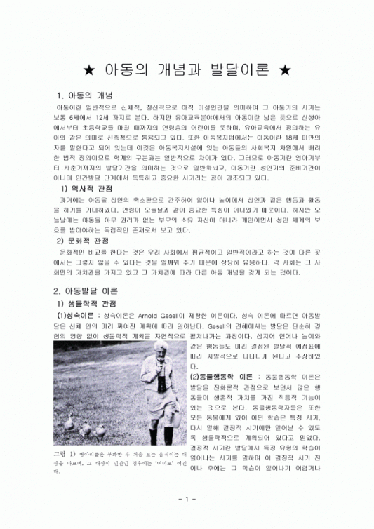 가정교육학과 아동기 아동개념과 발달이론