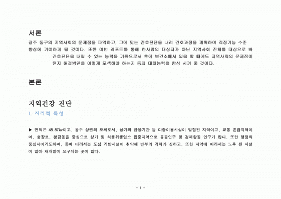 광주 지역사회 간호과정