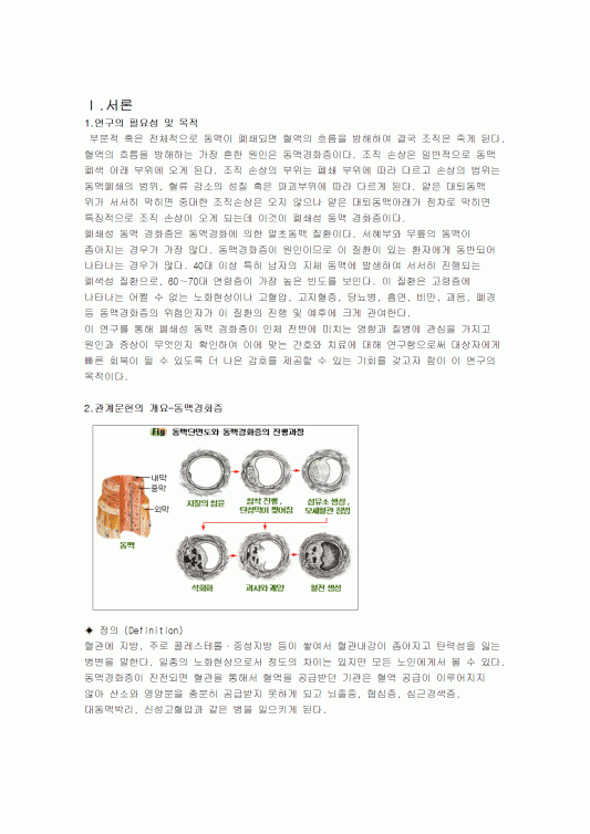 [성인간호학] 동맥경화증(ASO)