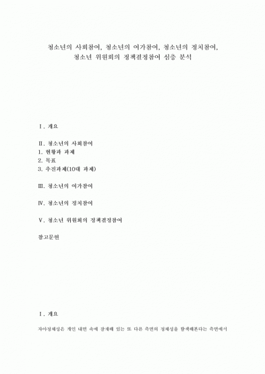 청소년의 사회참여, 청소년의 여가참여, 청소년의 정치참여, 청소년 위원회의 정책결정참여 심층 분석(청소년, 청소년의 사회참여, 청소년의 여가참여, 청소년의 정치참여, 청소년위원회의 정책결정참여)