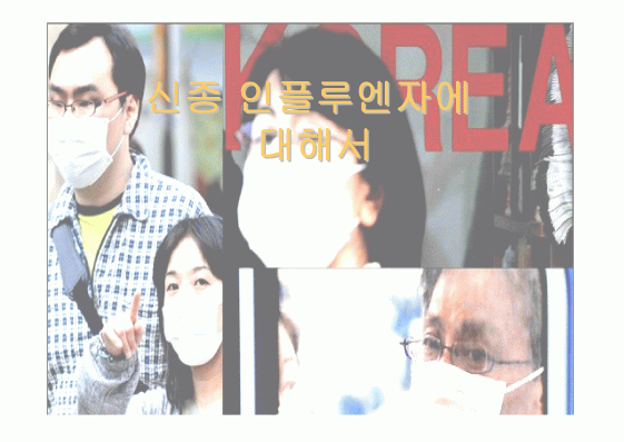신종인플루엔자에 대한 발표파워포인트 자료