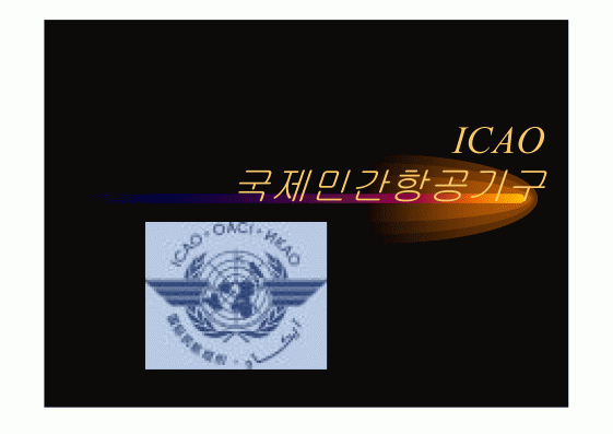 icao 조사 레포트 자료