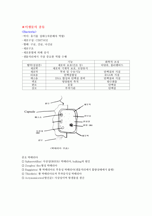 미생물 종류 레포트 자료