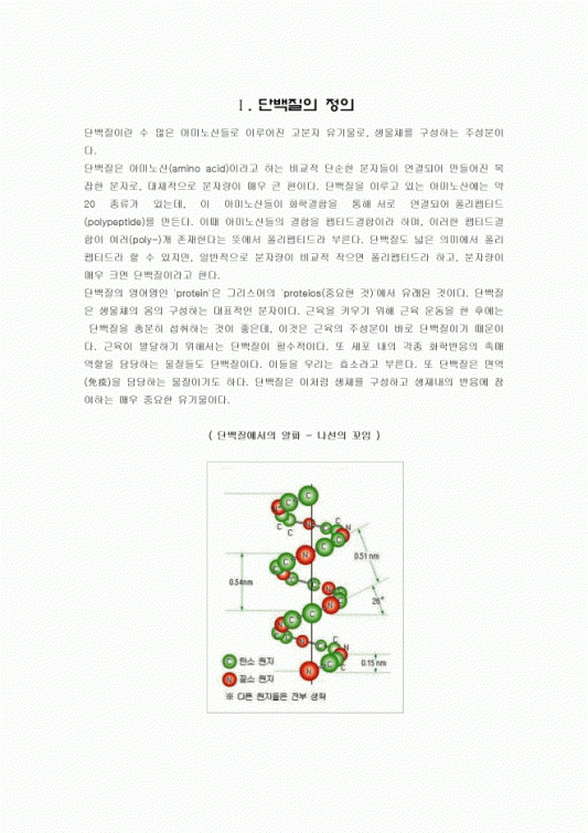 단백질에 관하여 (정의, 구조, 기능 ,대사,영양, 소화 흡수 기타등등 )