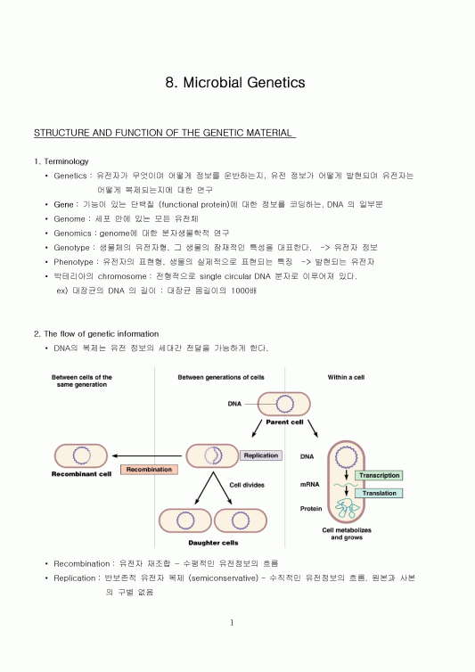 세균의 복제와 유전
