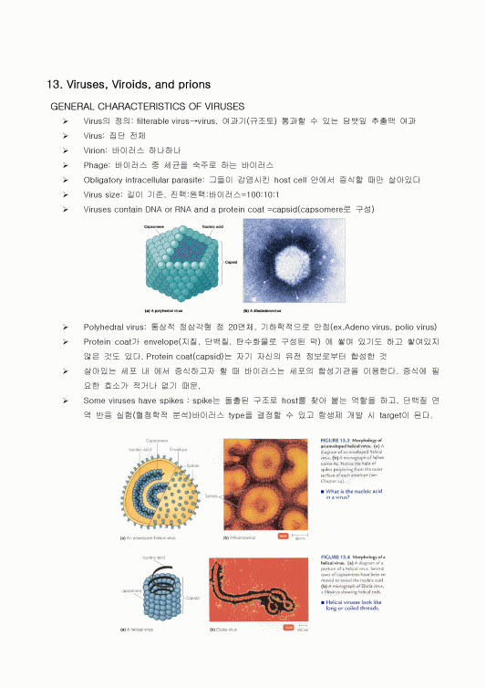 바이러스 및 프리온