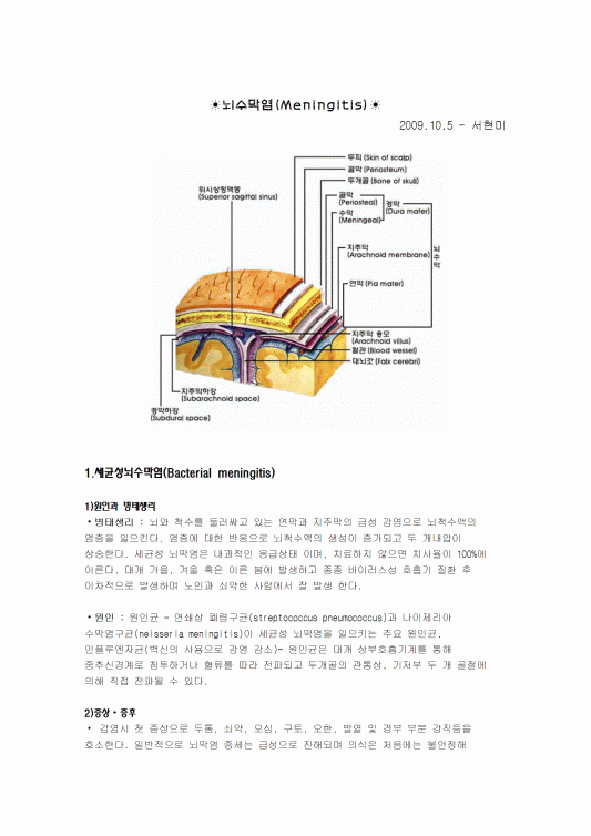 뇌수막염(meningitis)