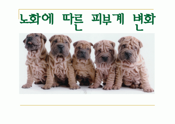 노화에 따른 피부계 변화 (노인간호)