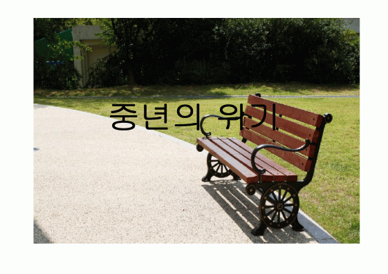 [사회과학] 중년의 위기