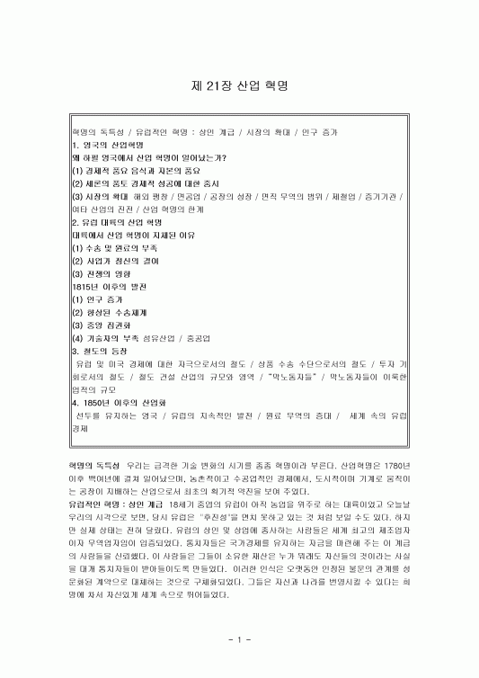 산업 혁명 레포트 자료