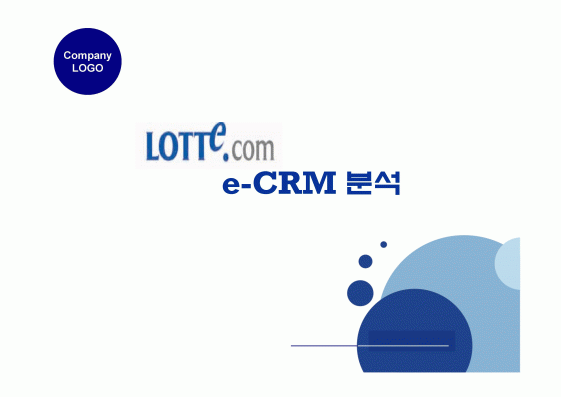e-CRM () 레포트 자료