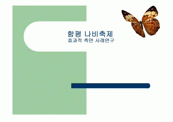 함평 나비축제 효과적 측면 사례분석(이벤트 기획 사례조사 과제)