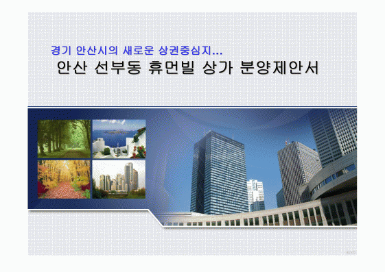 (부동산개발사업)안산선부동상가분양제안서