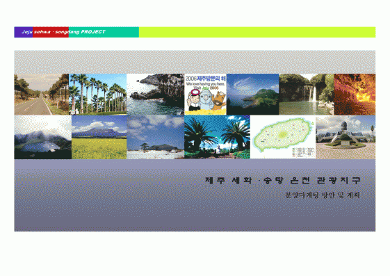 (부동산개발사업)제주체비지온천관광지구사업마케팅방안