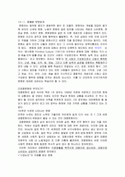 문화의 개요 레포트 자료