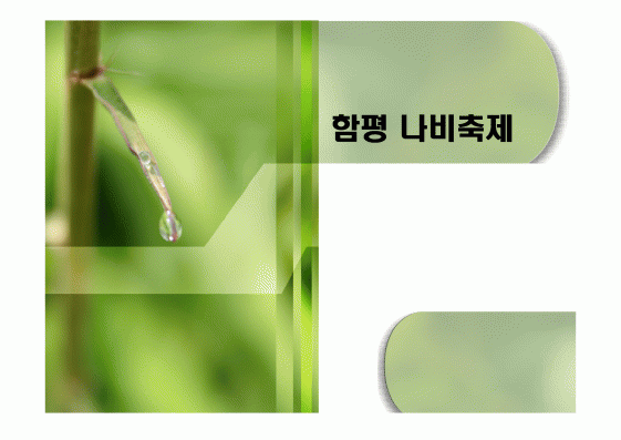 함평나비축제 관련 발표자료