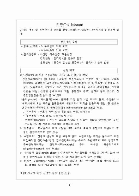 신경계의 병태생리