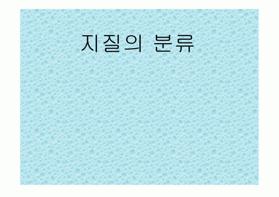 지질의_분류 레포트 자료