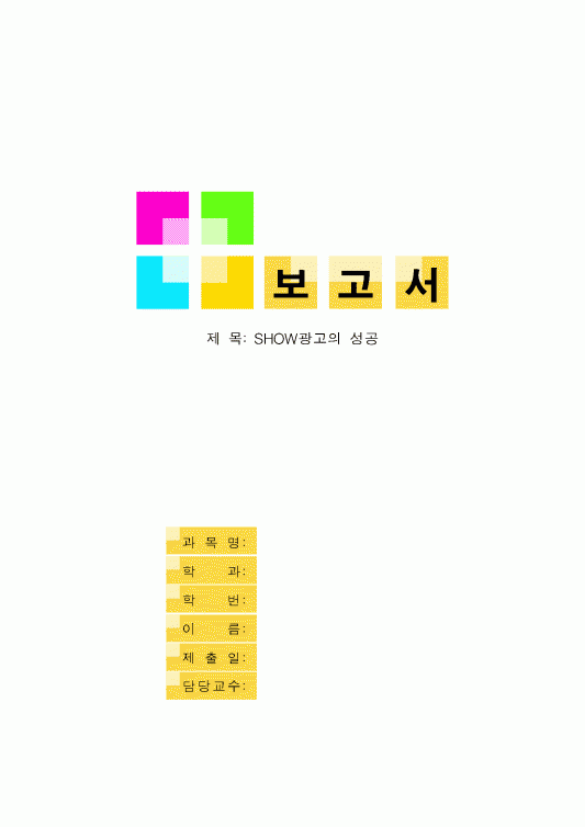 성공한 마케팅 사례 분석 - SHOW광고