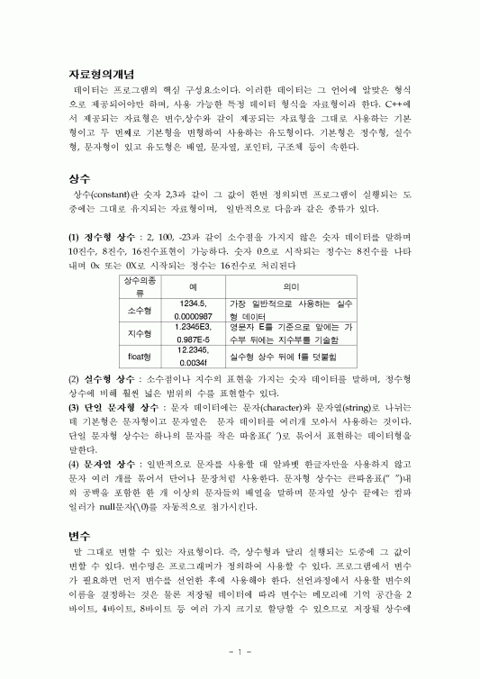 C/ C++ 프로그래밍 요약 레포트