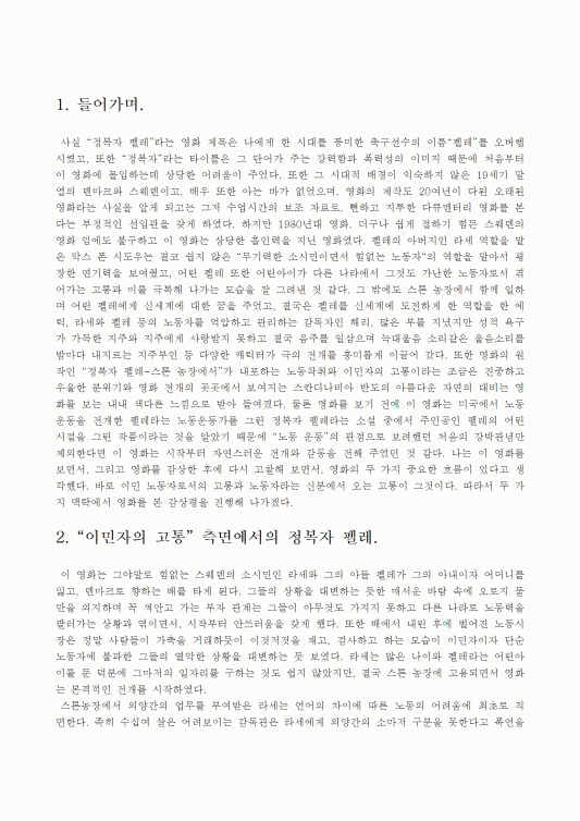 영화감상문-정복자 펠레