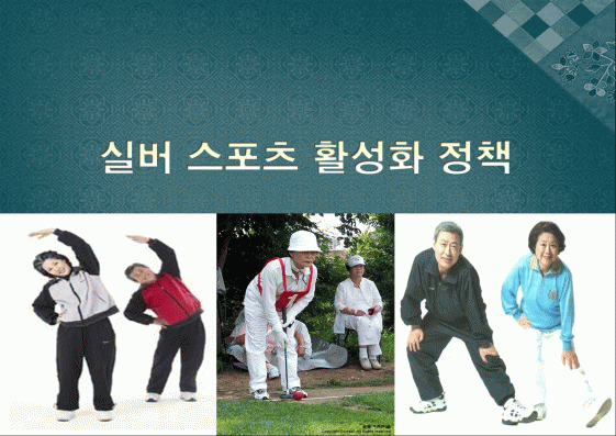 [스포츠 사회학] 실버스포츠 활성화 정책