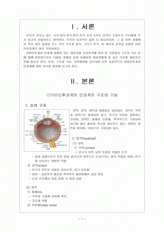 이비인후과계와 안과계 구조와 기능 및 용어정리