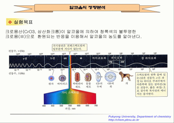 알코올의 정량분석