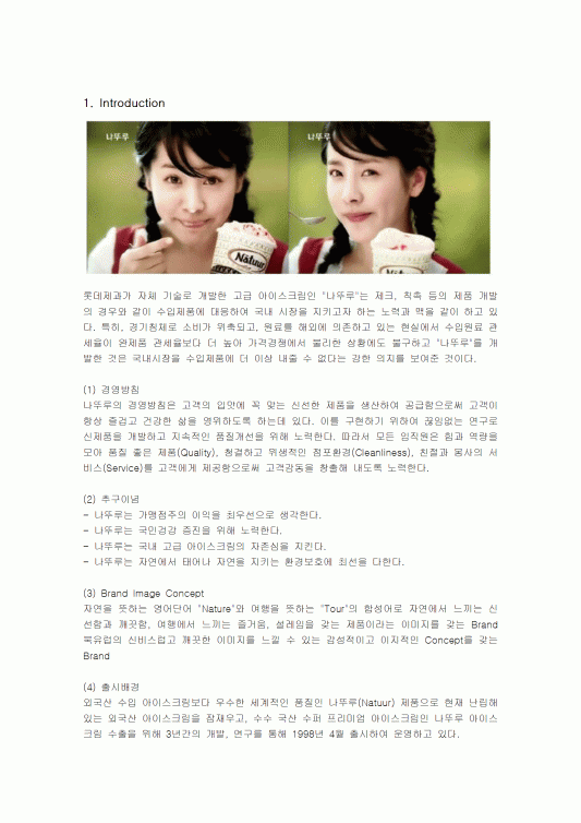 프리미엄 아이스크림 나뚜루의 마케팅 전략 분석