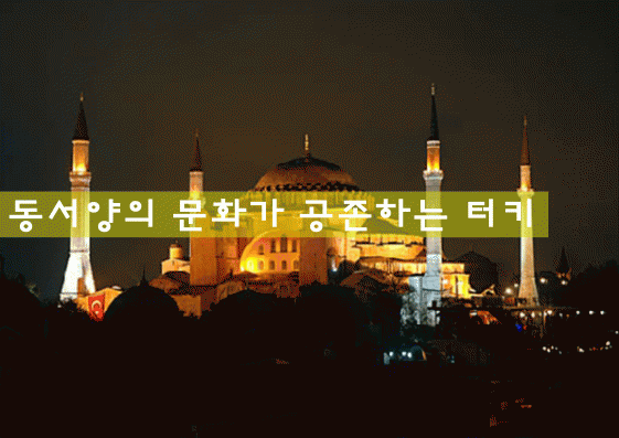 동서양의 문화가 공존하는 터키