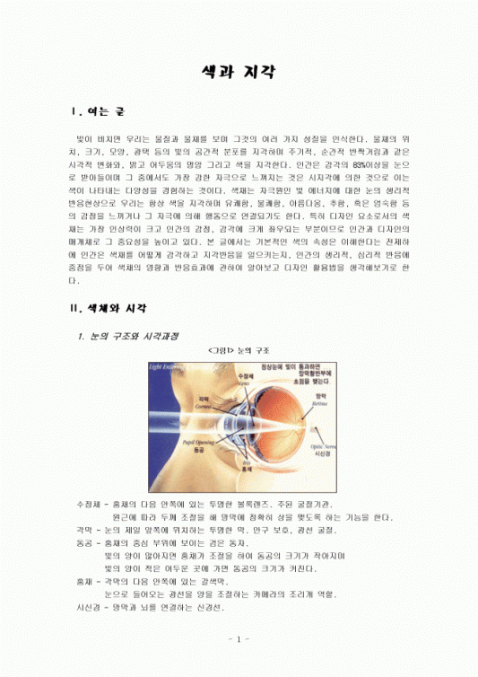 색과 지각 레포트 자료