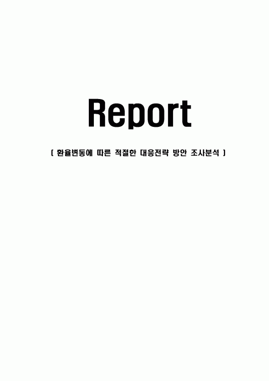 환율변동에 따른 적절한 대응전략 방안 조사분석
