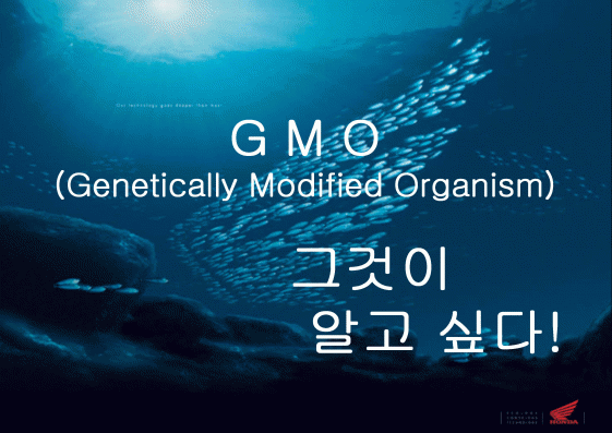 G M O (Genetically Modified Organism)