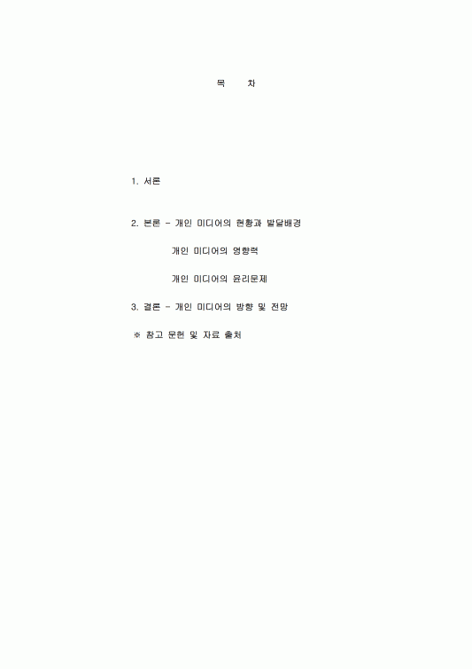 개인 미디어와 그 영향력