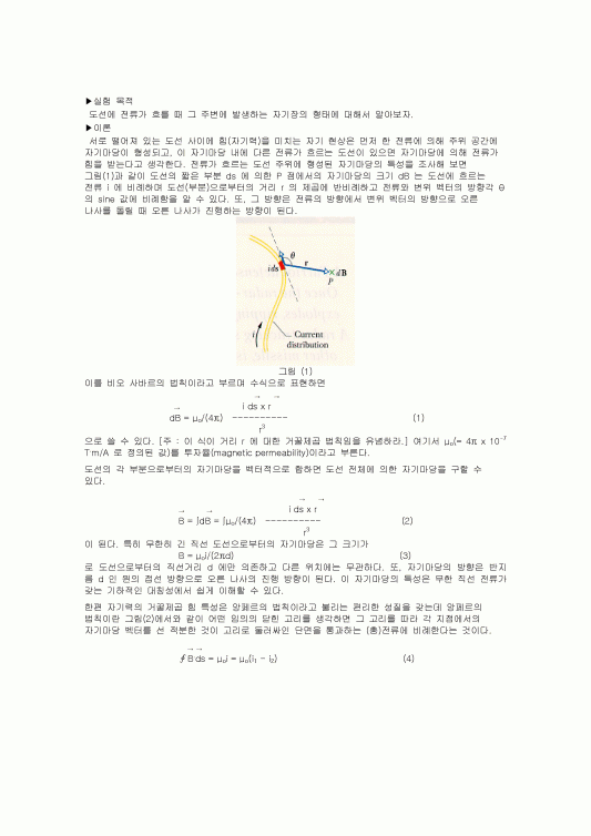 전류와 자기장 예비레포트