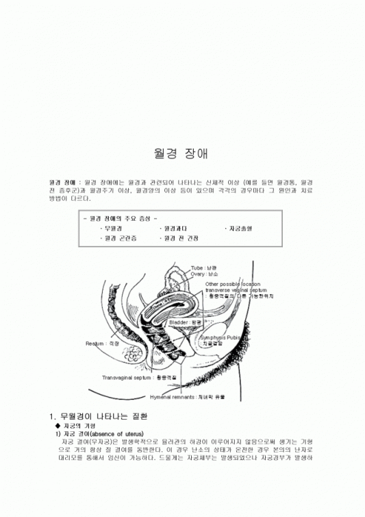 월경장애에 대하여