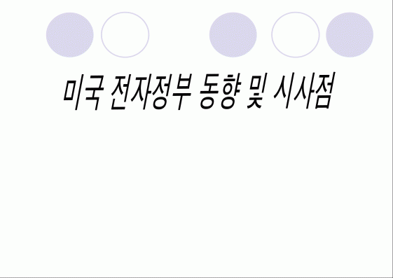 미국의 전자정부