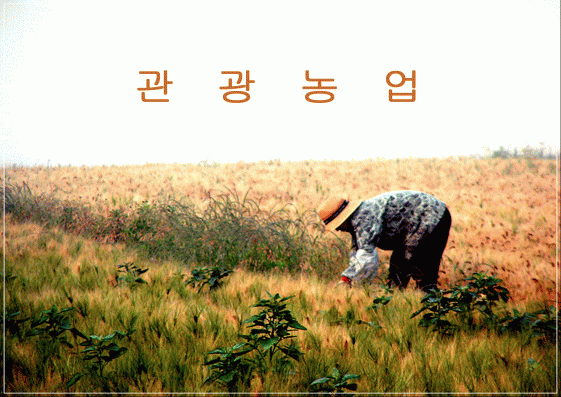 [관광농업]우리나라&관광농업&정의&발전&현황에 관한 발표자료