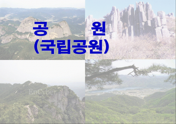 [우리나라공원]공원의 정의&공원의 역사& 공원의 발전과 방향에 관한 발표자료