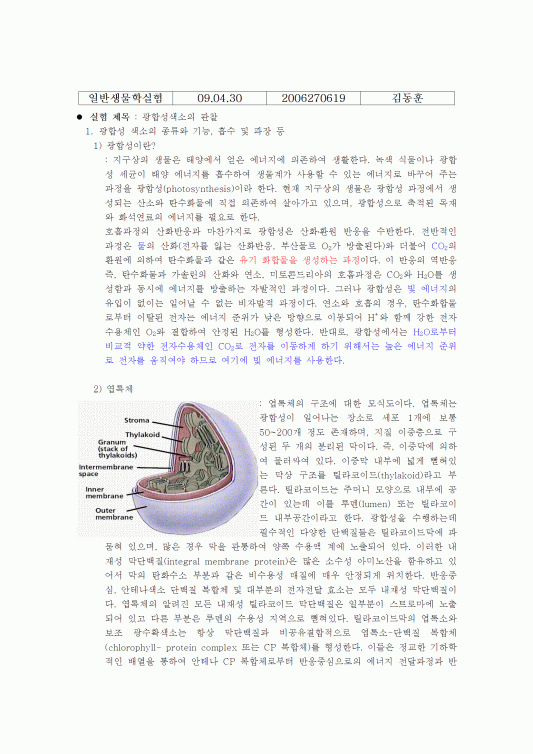 광합성 & 종이 크로마토그래피
