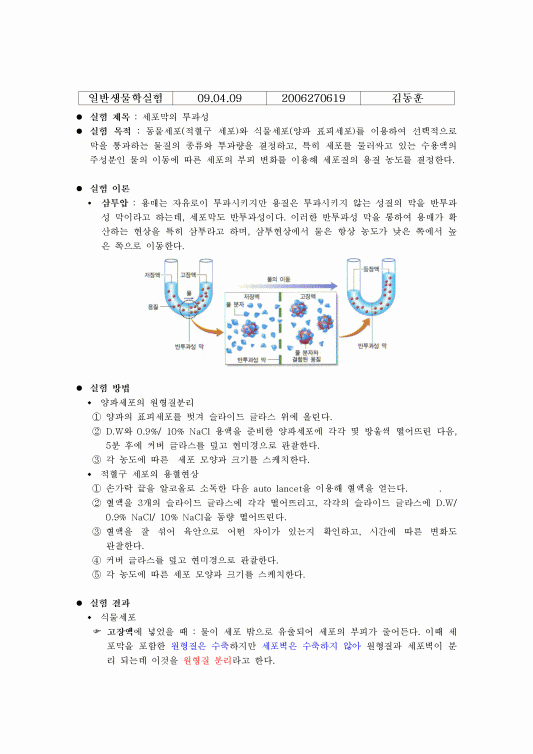 [자연과학] 세포막의 투과성