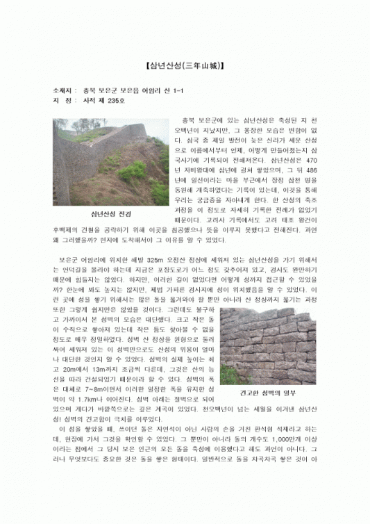 삼년산성(三年山城) 조사 보고서