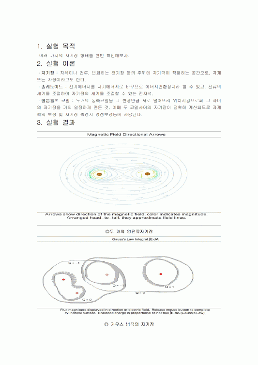 [일반물리학실험]자기장측정