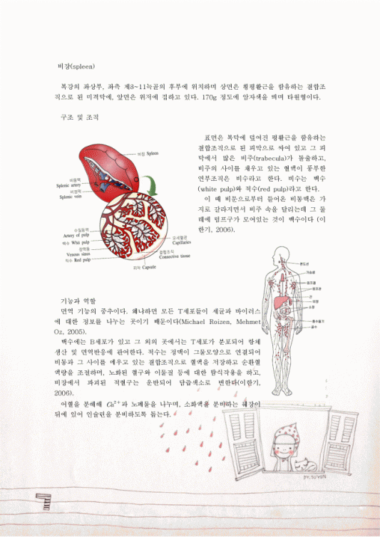 비장과 임파선(림프절)