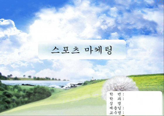 스포츠마케팅,-올림픽경제적 파급효과, 미국의 4대프로스포츠 결승전광고비 등