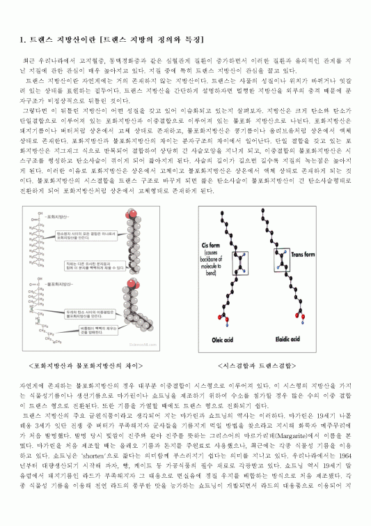 트랜스지방에 대한 모든 것