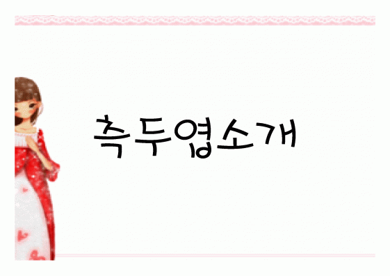 측두엽의 기능과 측두엽 손상에 따른 문제점